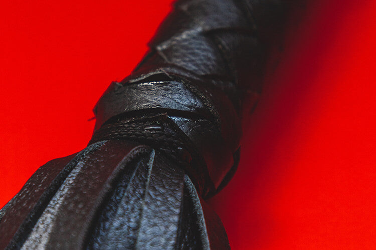 Votre guide définitif de la flagellation - Trucs et astuces Biird